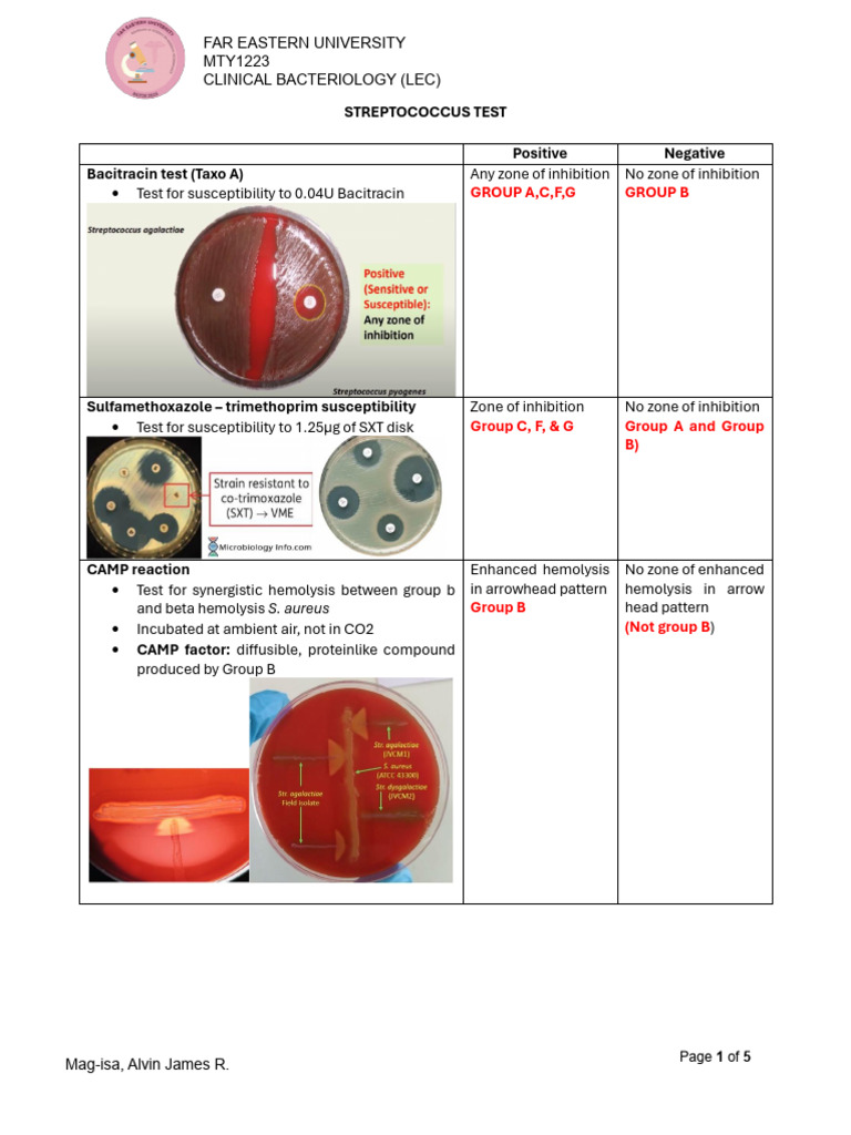 Streptococcus Testing Methods Guide | PDF | Streptococcus | Microbiology