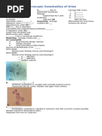 Urine Microscopic Exam Reference Chart | PDF