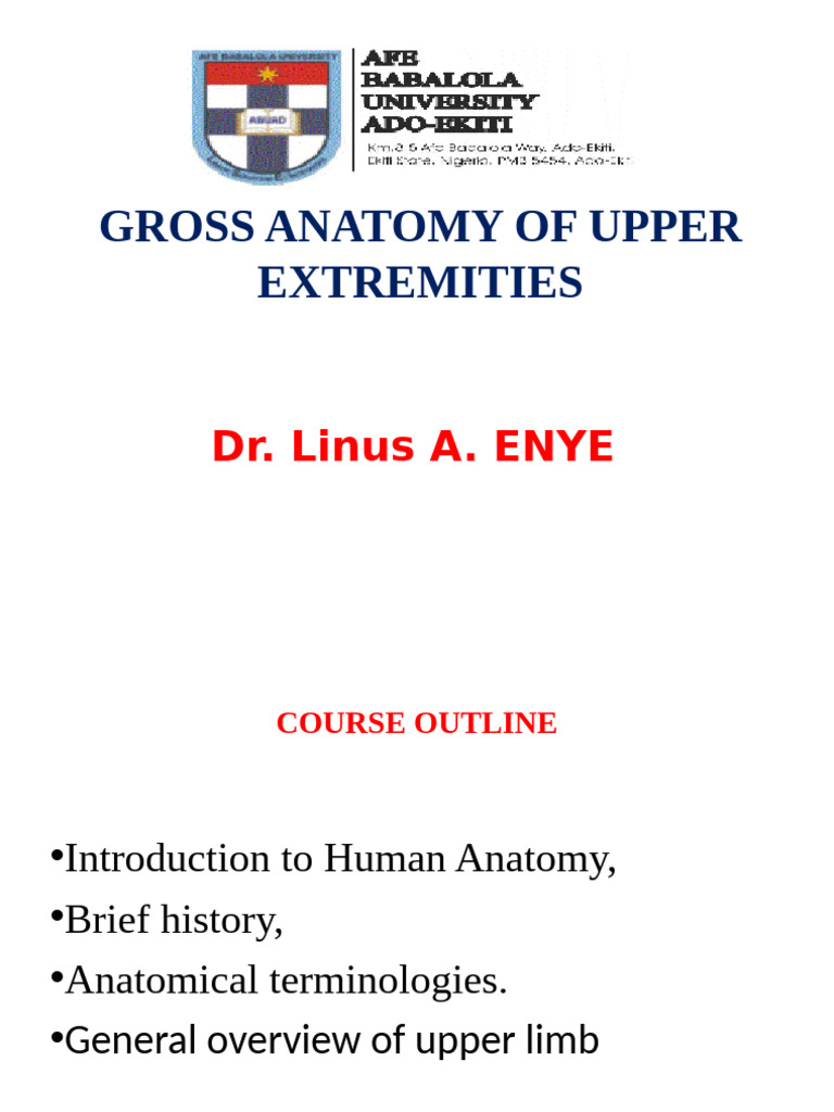 History of Anatomy and Anatomical Terminologies | PDF | Anatomical ...