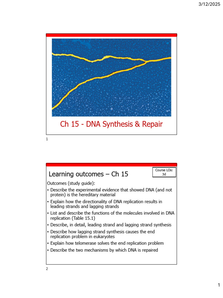 DNA Replication and Repair Mechanisms | PDF | Dna Replication | Dna