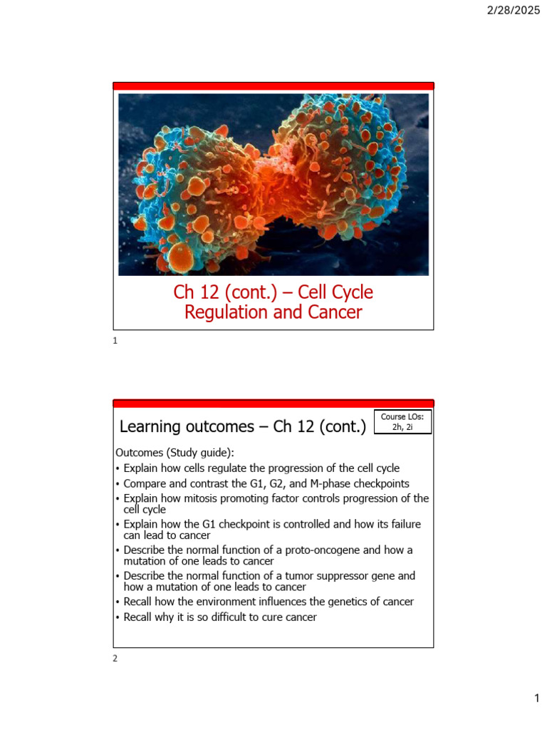 CH 12 (Cont.) - Cell Cycle Regulation and Cancer | PDF | Cell Cycle ...