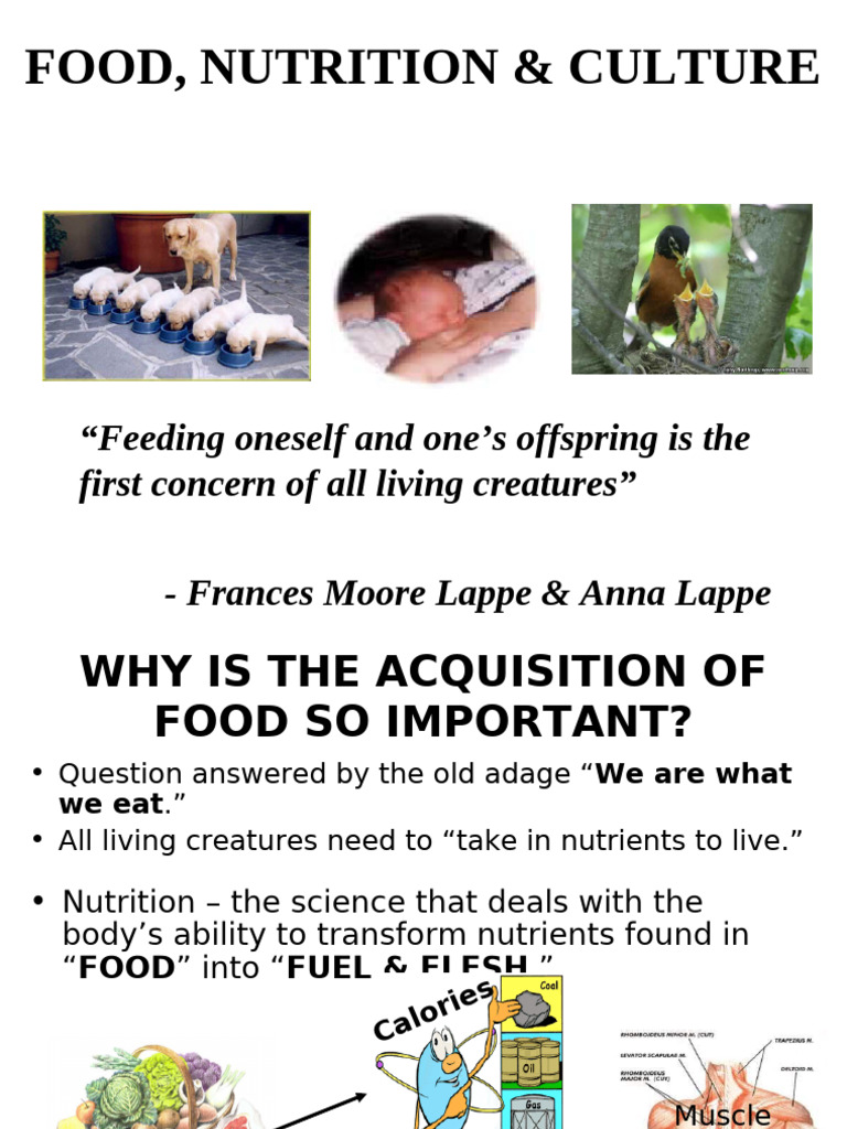 Food, Nutrition, and Cultural Impact | PDF | Foods | Nutrients