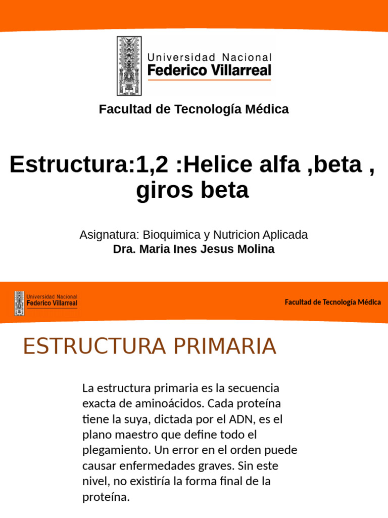 bioquimica estructura 1-2 | PDF | Proteínas | Alpha Helix