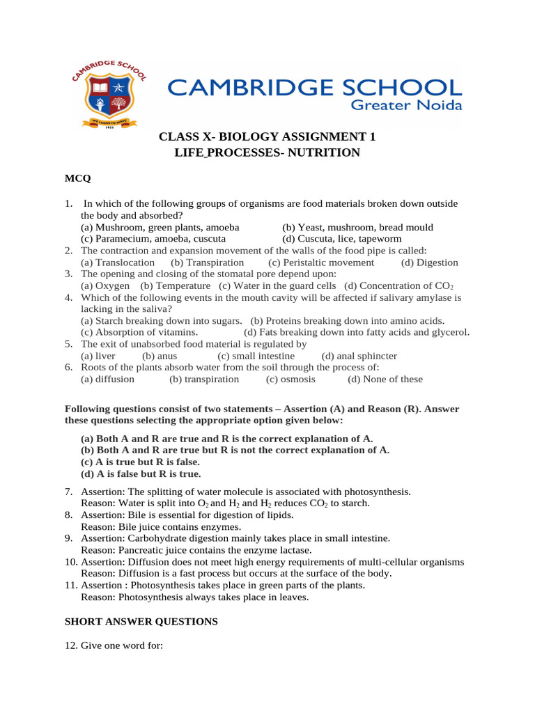Life Process Worksheet 1 | PDF | Digestion | Stoma