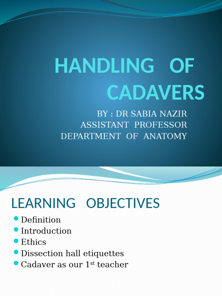 Ethical Handling of Cadavers in Anatomy | PDF | Cadaver | Medicine