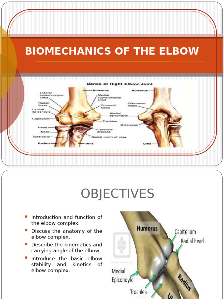 BIOMECHANICS OF THE ELBOW | PDF | Elbow | Anatomical Terms Of Motion