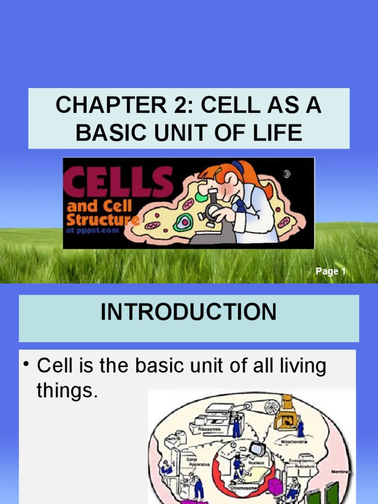 Cell Biology Basics for Students | PDF