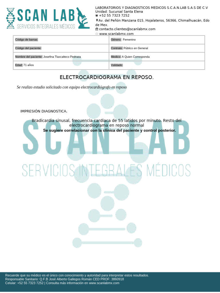 Machote Electro | PDF