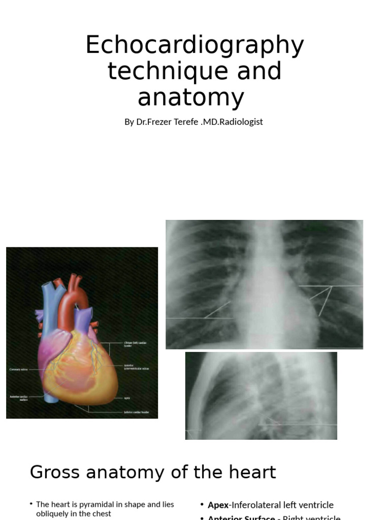 Echocardiography Technique and Anatomy | PDF | Heart Valve | Coronary ...