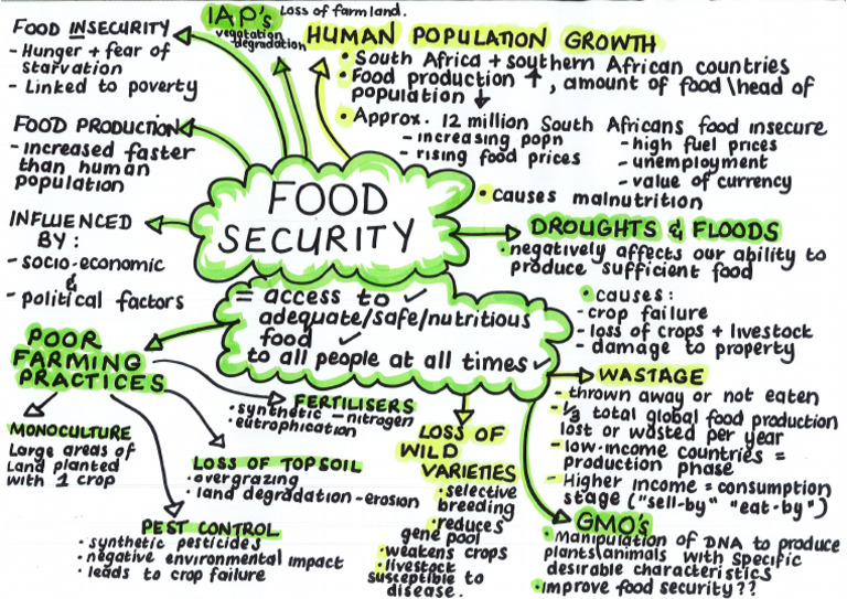 Food Security Mind Map-22102018114445 | PDF