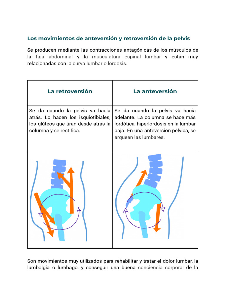 Movimientos de Anteversión y Retroversión Pélvica | PDF