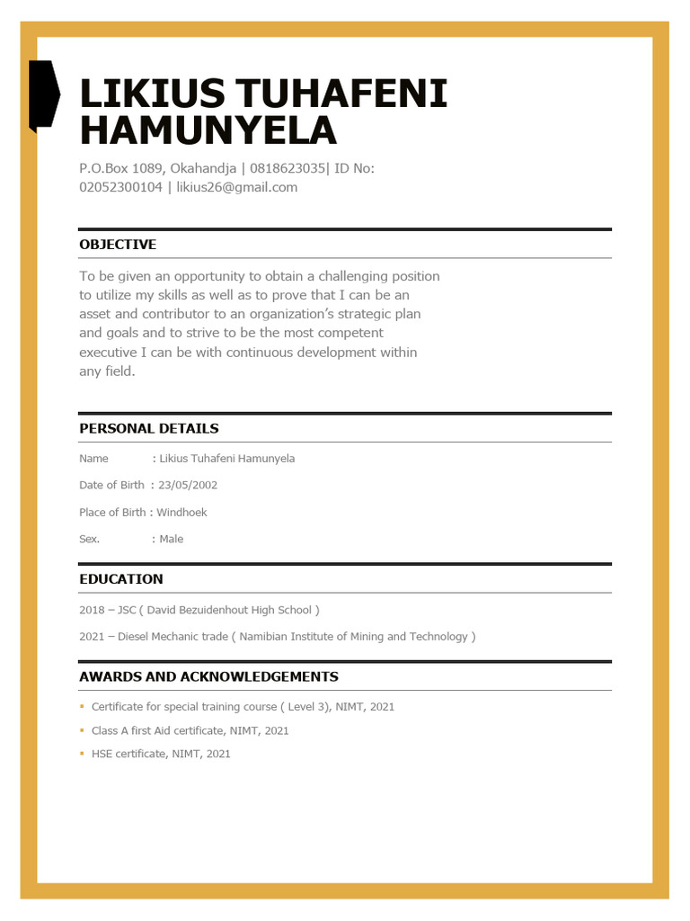 Likius Tuhafeni Hamunyela: Objective | PDF