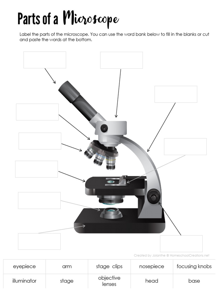 Microscope Parts and Functions Guide | PDF