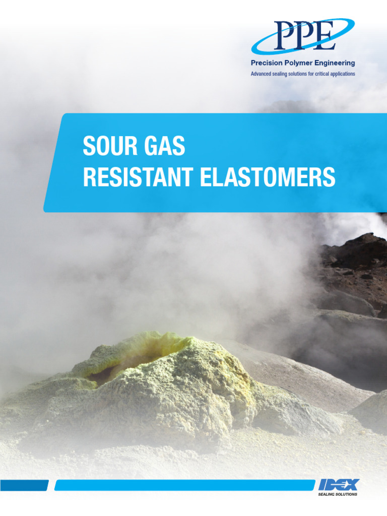 Endura V91A: Sour Gas Sealing Solutions | PDF | Carbon Dioxide ...