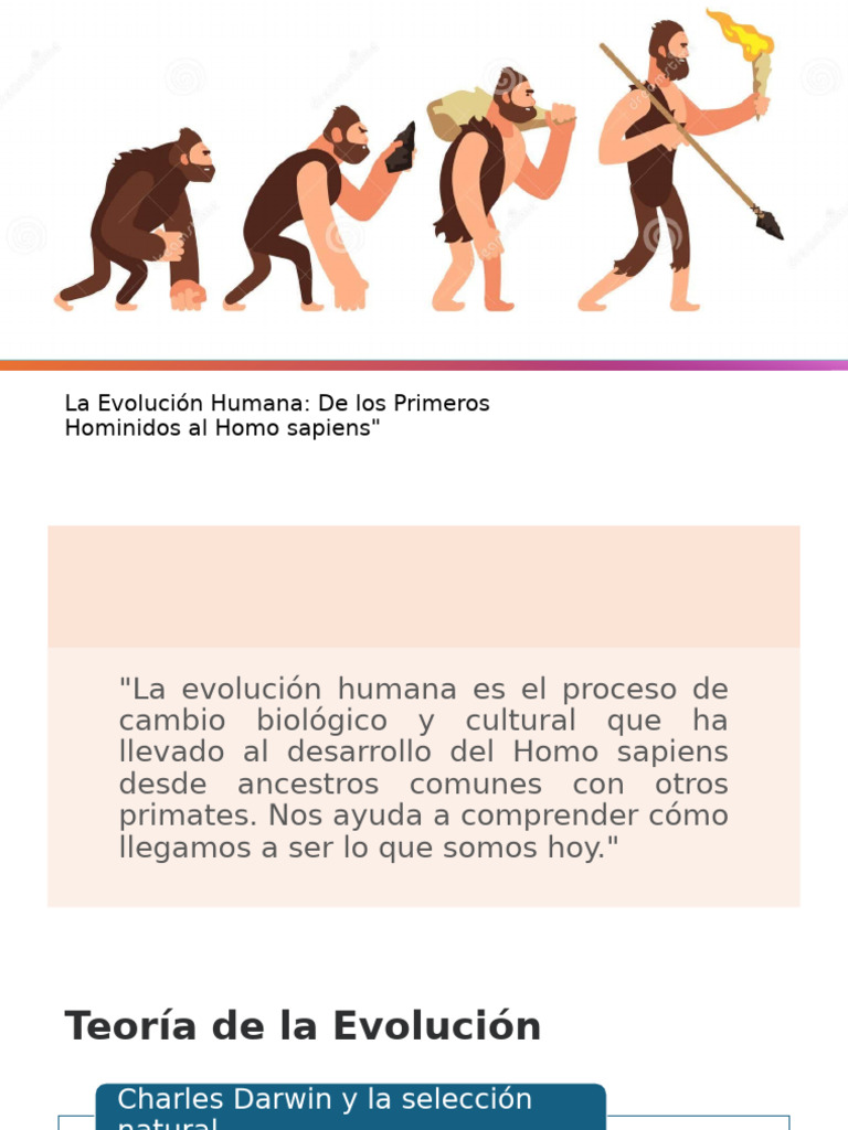 Evolución Humana: Hominidos a Homo sapiens | PDF | Evolución | Homo