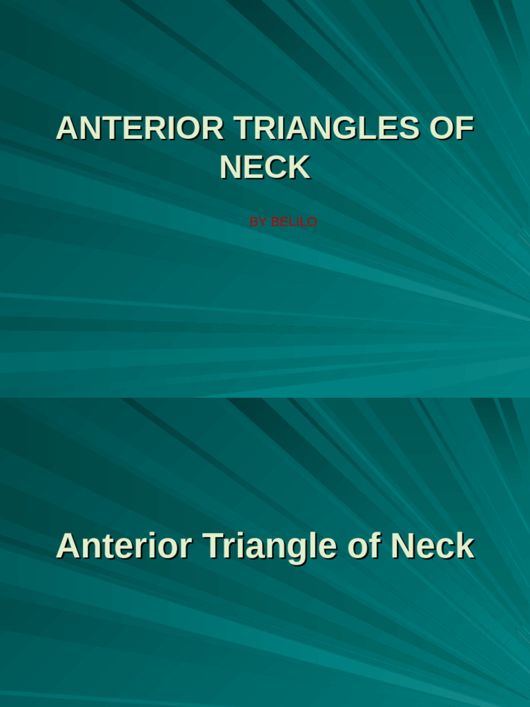 Anatomy of Anterior Neck Triangles | PDF
