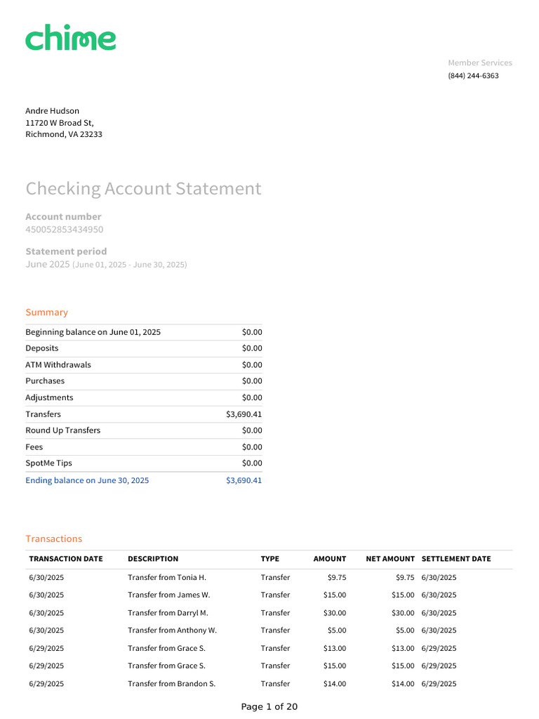 Checking Account Statement | PDF | Transaction Account | Financial Services