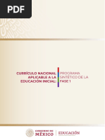 Programa Sintético Fase 2 Educación Preescolar | PDF | Educación de la primera infancia ...