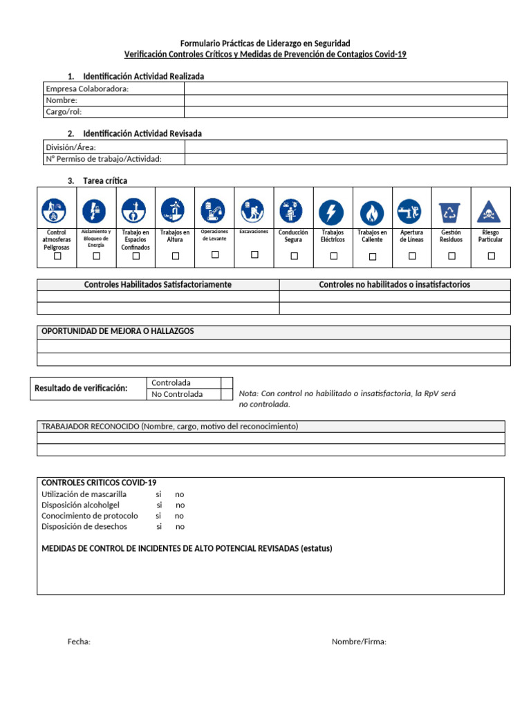 Formulario Prácticas de Liderazgo en Seguridad Rev.01 | PDF