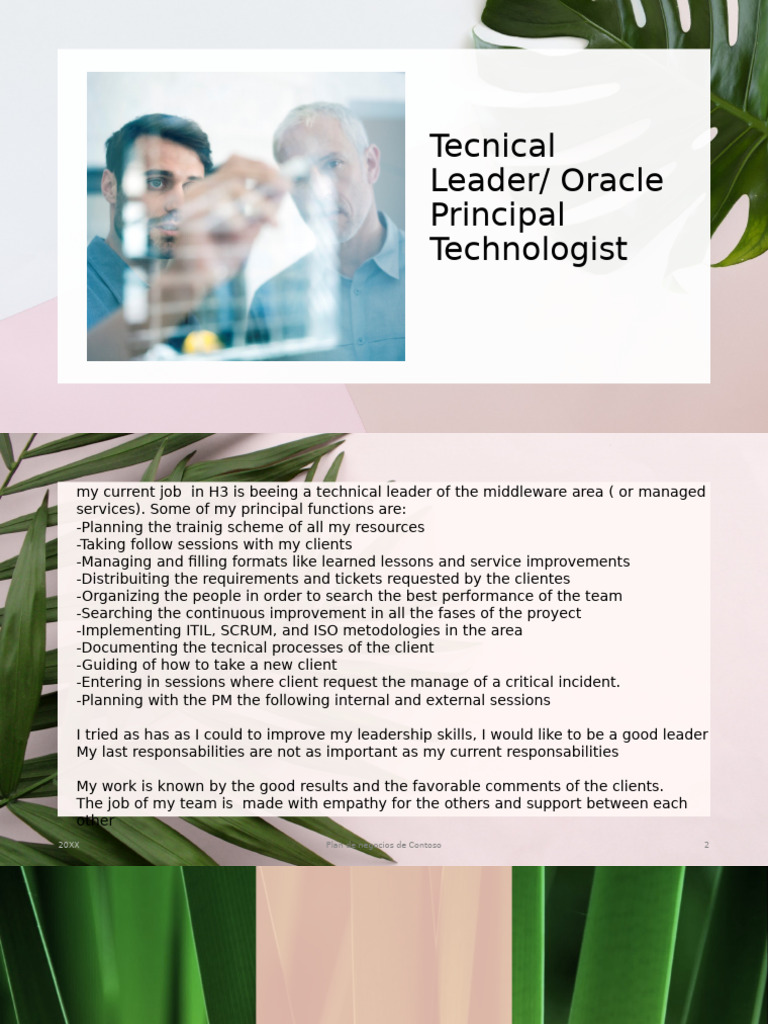 My Current Job | PDF
