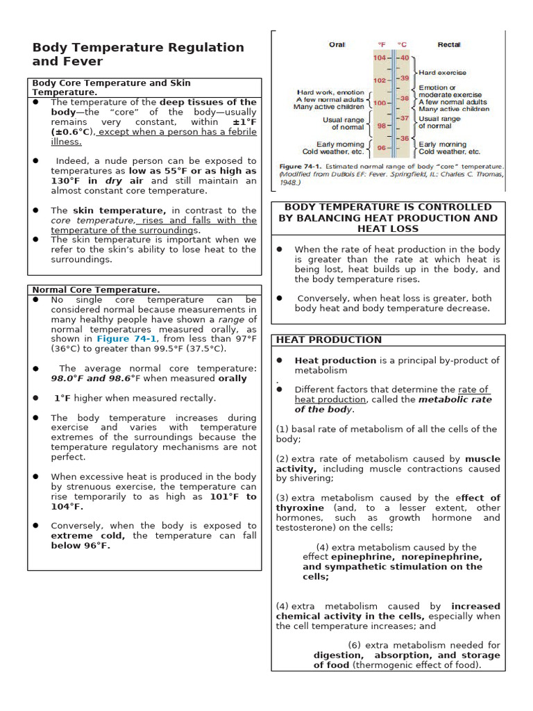 Body Temperature Regulation Mechanisms | PDF | Perspiration | Heat Transfer