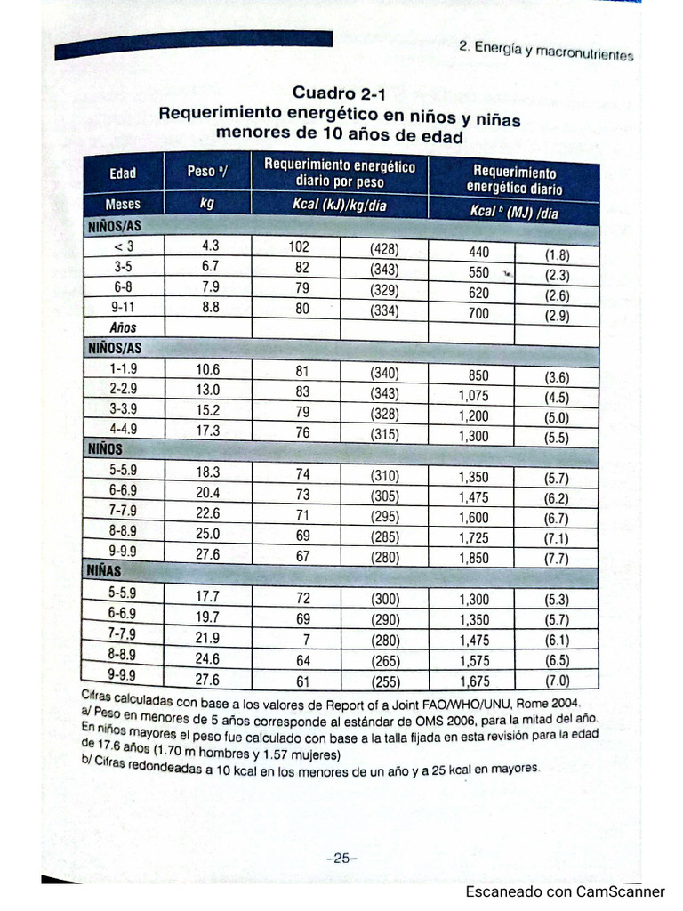 Incap | PDF