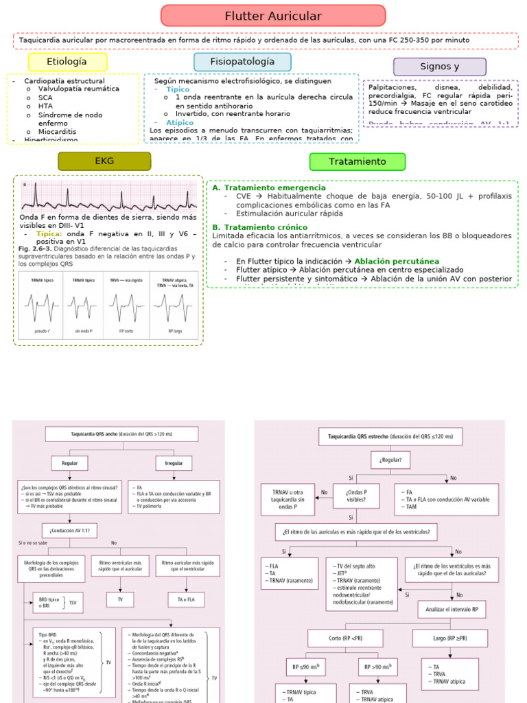 Tratamiento del Flutter Auricular | PDF | Enfermedades y trastornos ...
