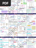 MBI Mind Maps by Seep Pahuja | PDF | Dna | Rna