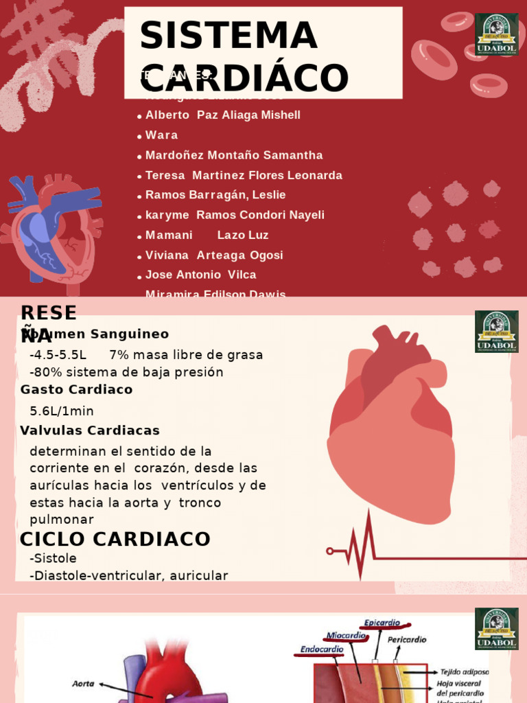 Sistema Cardiaco: Funciones y Trastornos | PDF | Corazón | Medicina Interna