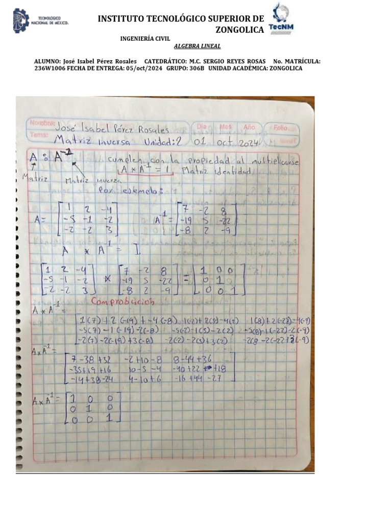 Apuntes de Matriz Identidad Jose Isabel | PDF