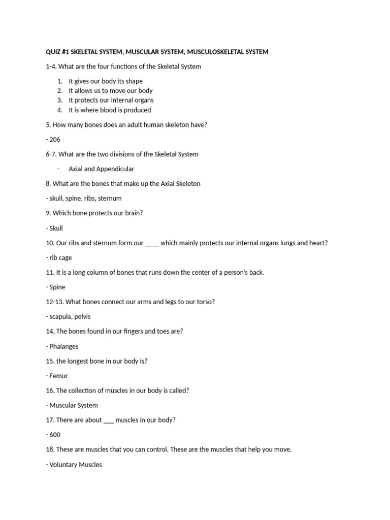 Skeletal and Muscular System Quiz | PDF