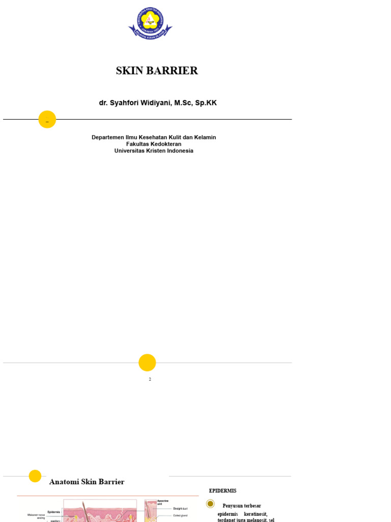 Skin Barrier | PDF