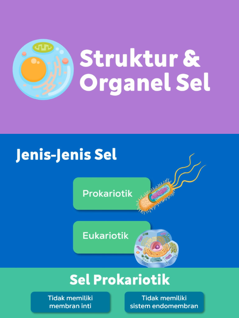 Struktur Dan Organel Sel - 20250812 - 125246 - 0000 | PDF