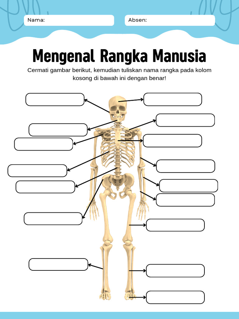 Lembar Kerja Mengenal Nama Rangka Manusia Biru Ilustrasi | PDF