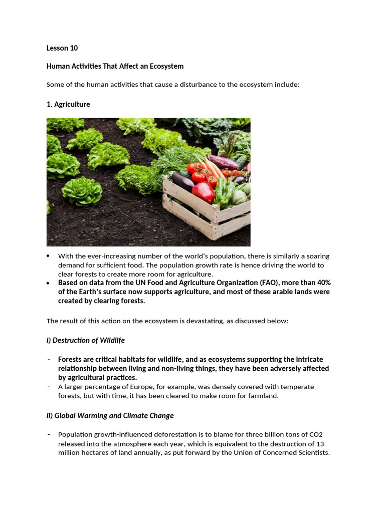 Lesson 10 Human Impact On Ecosystem | PDF | Deforestation | Sustainable ...