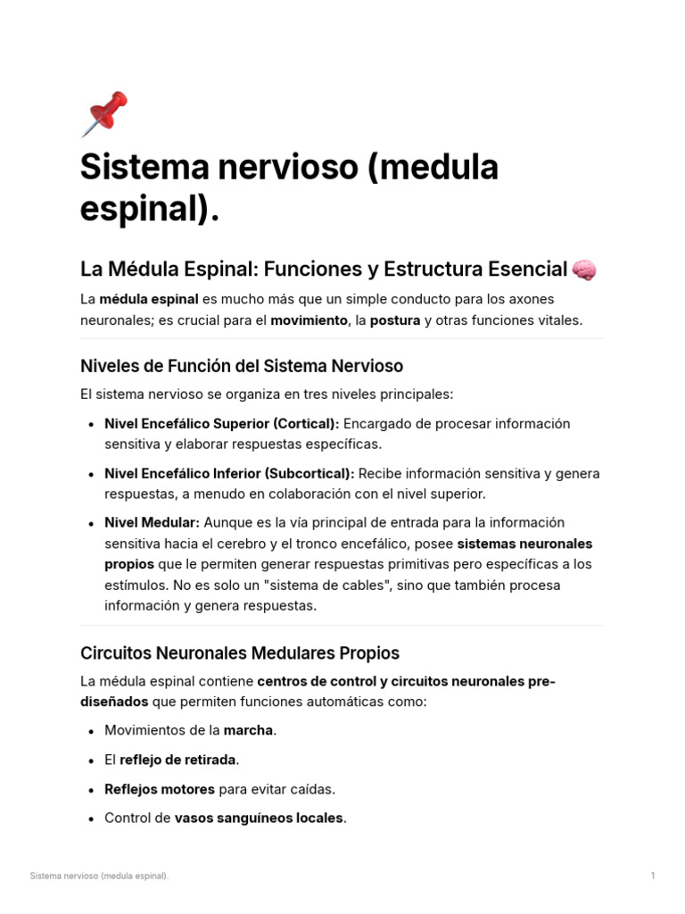 Sistema Nervioso (Medula Espinal). | PDF | Médula espinal | Sistema nervioso