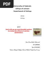 Why Beetroot is Red: Betalains Explained | PDF | Cell Membrane | Biophysics