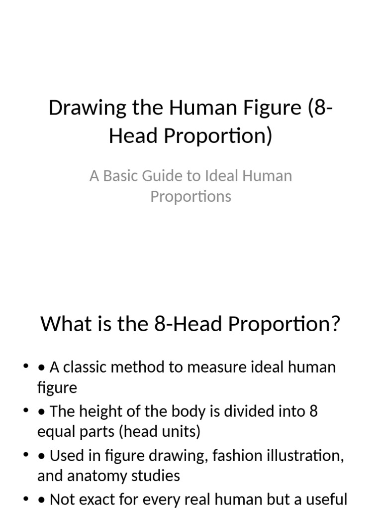 8-Head Proportions in Figure Drawing | PDF