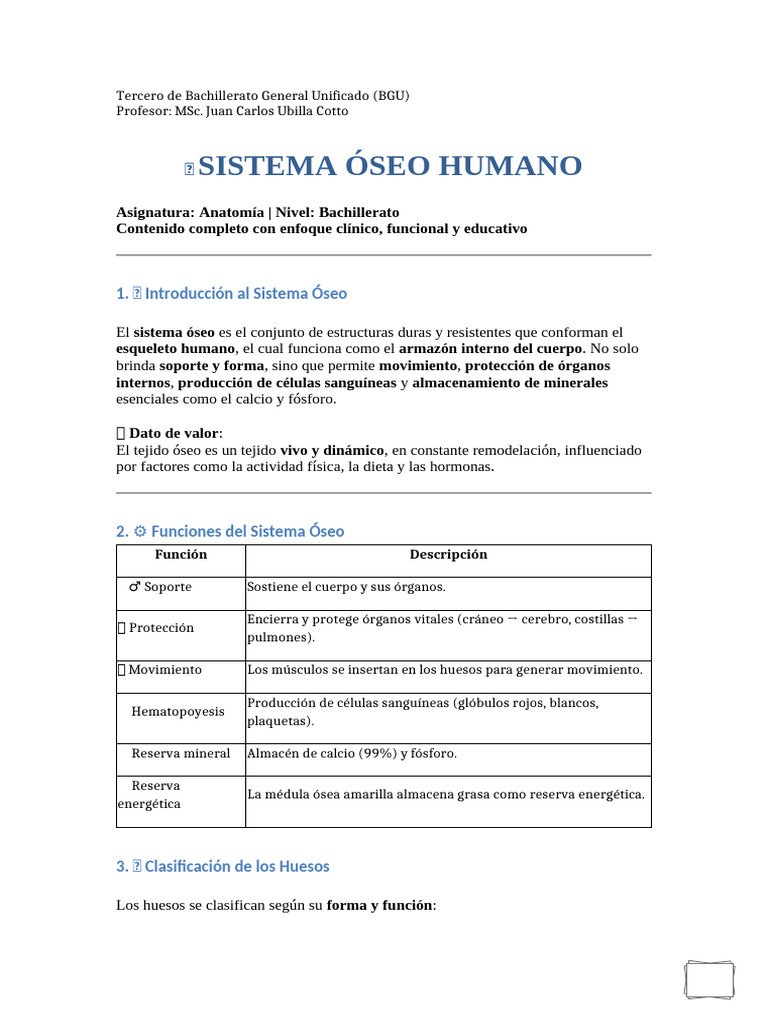 Anatomía del Sistema Óseo Humano | PDF | Articulación | Hueso