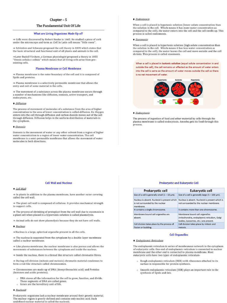chapter 5 fundamental unit of life | PDF