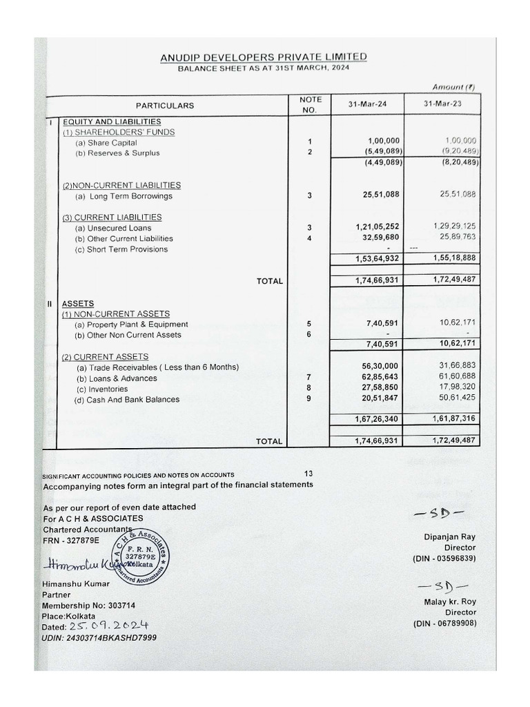 Audited Balance Sheet With UDIN | PDF