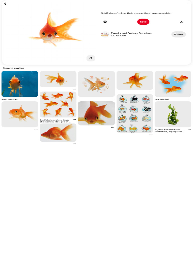 Goldfish Facts and Stock Images | PDF
