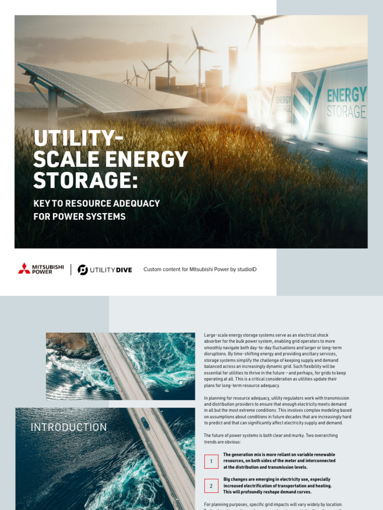 Utility-Scale Energy Storage Insights | PDF | Energy Storage ...