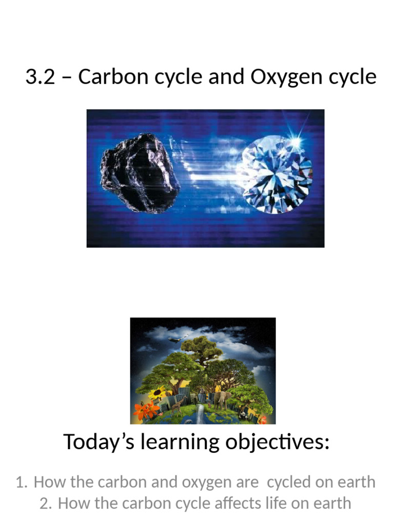 3.2 - Carbon and Oxygen Cycle | PDF | Carbon Cycle | Greenhouse Effect