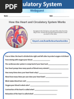 Circulatory System Worksheet Grade 6 | PDF