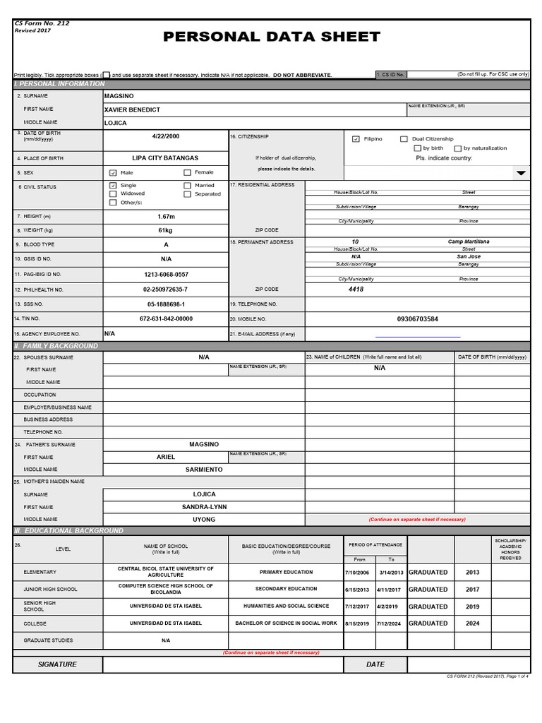 Magsino Pds Real Print | PDF | Social Work