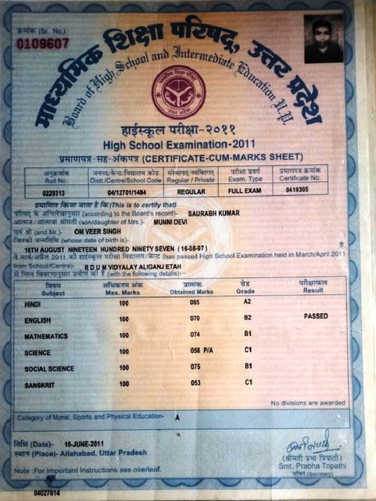 Board Certificate | PDF