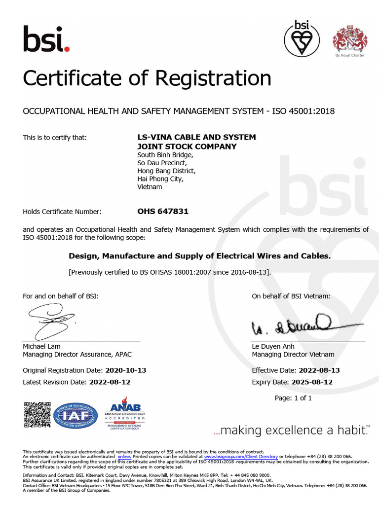 ISO 45001:2018 Certificate for LS-VINA | PDF | Safety | Occupational ...
