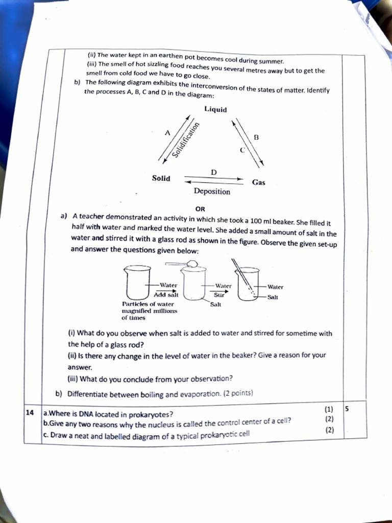 Class 9 Science Sample Paper PDF | PDF