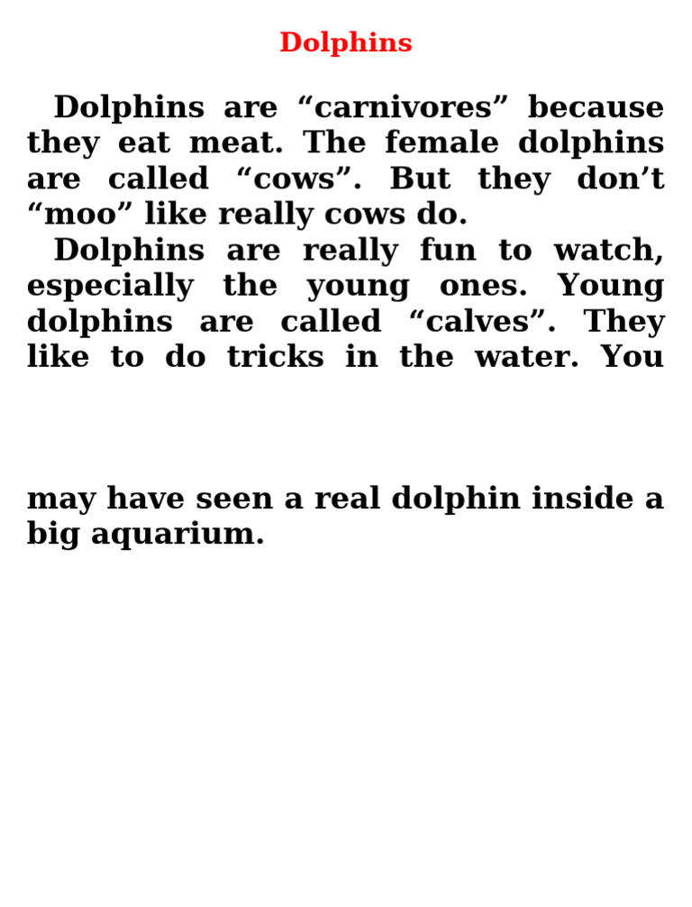 Dolphins | PDF
